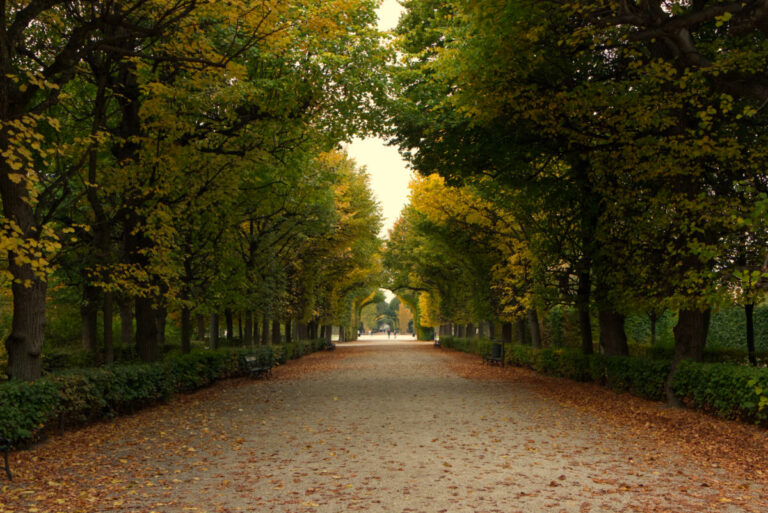 Schlosspark Schönbrunn: Magischer Herbst