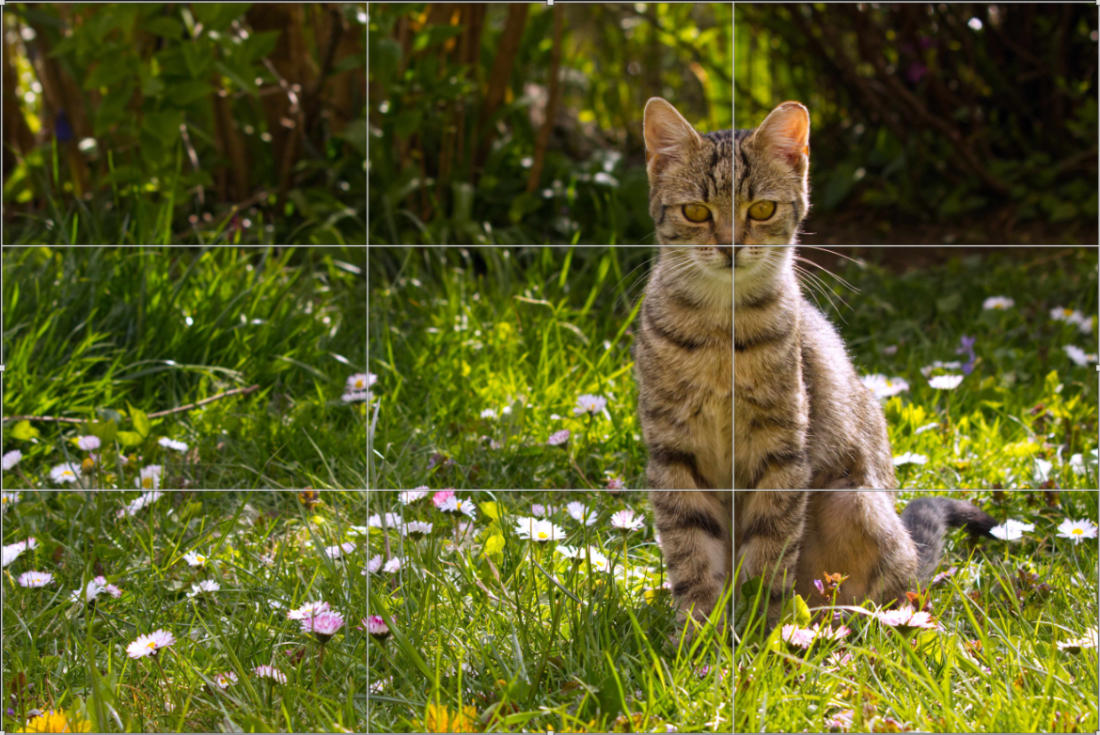 Fotografie-Glossar: Die wichtigsten Fotografie-Begriffe einfach erklärt ...