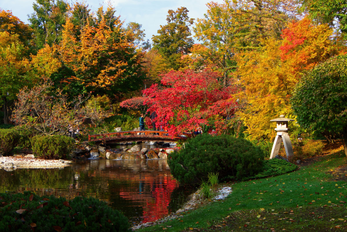 Setagayapark im Herbst: Ruheoase in magischer Farbenvielfalt - Barbara Knie