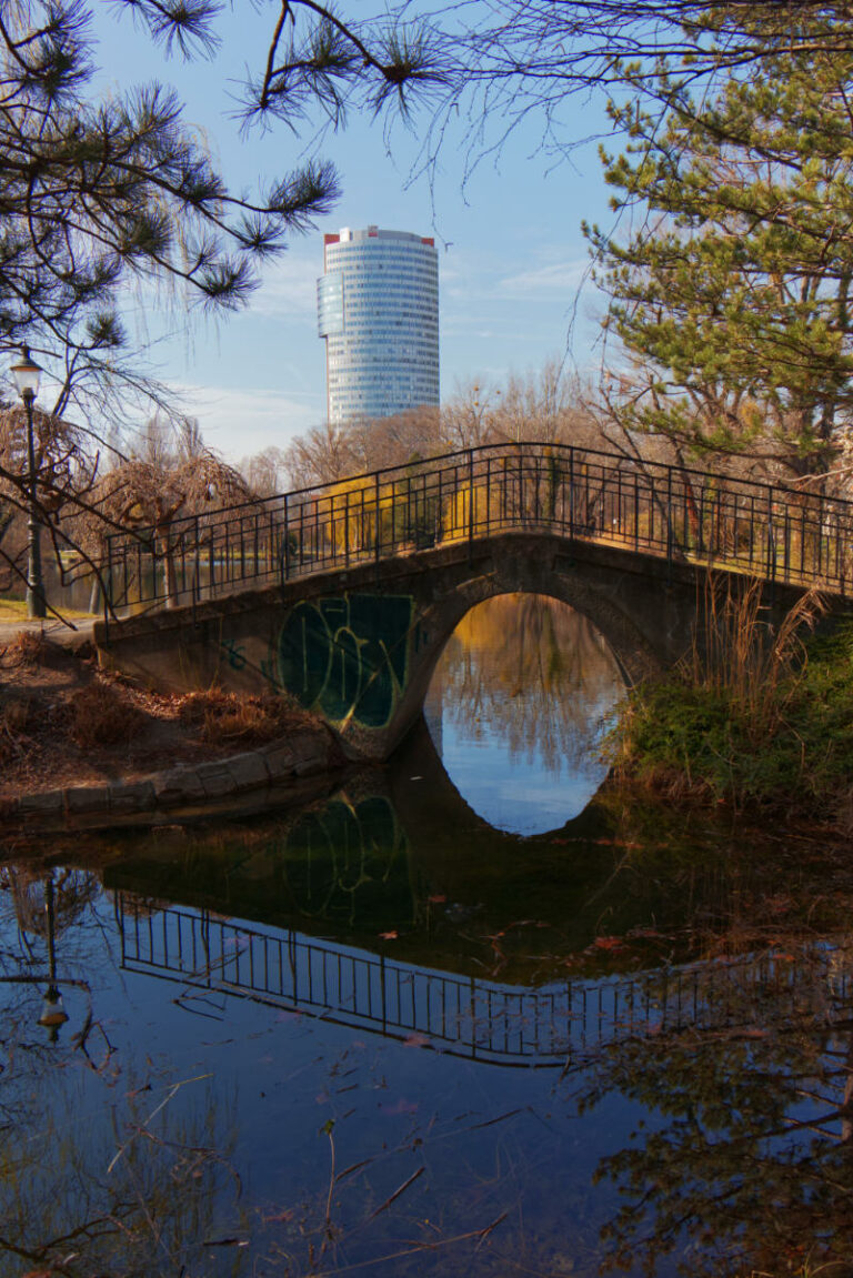 Floridsdorfer Wasserpark: Wasservögel fotografieren