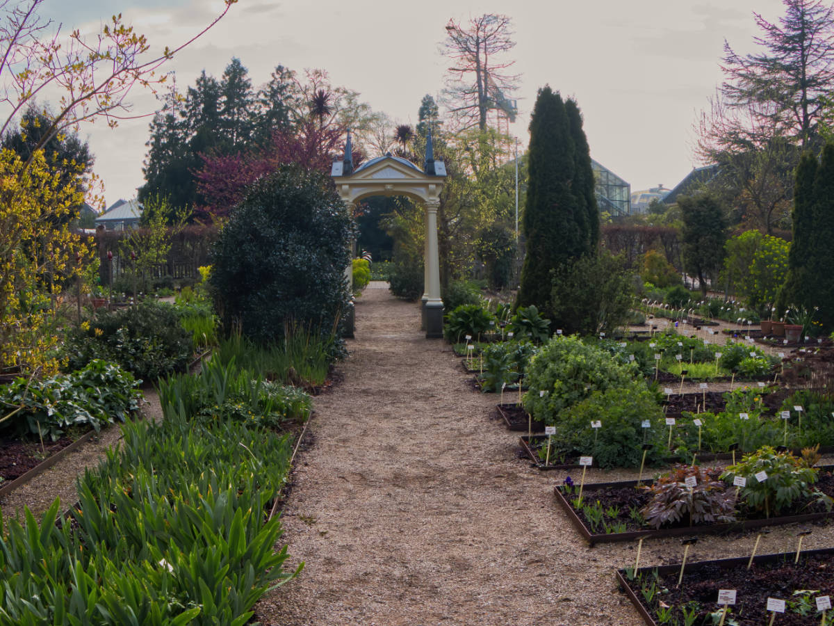 Leiden: Eine charmante Universitätsstadt mit historischem Flair ...