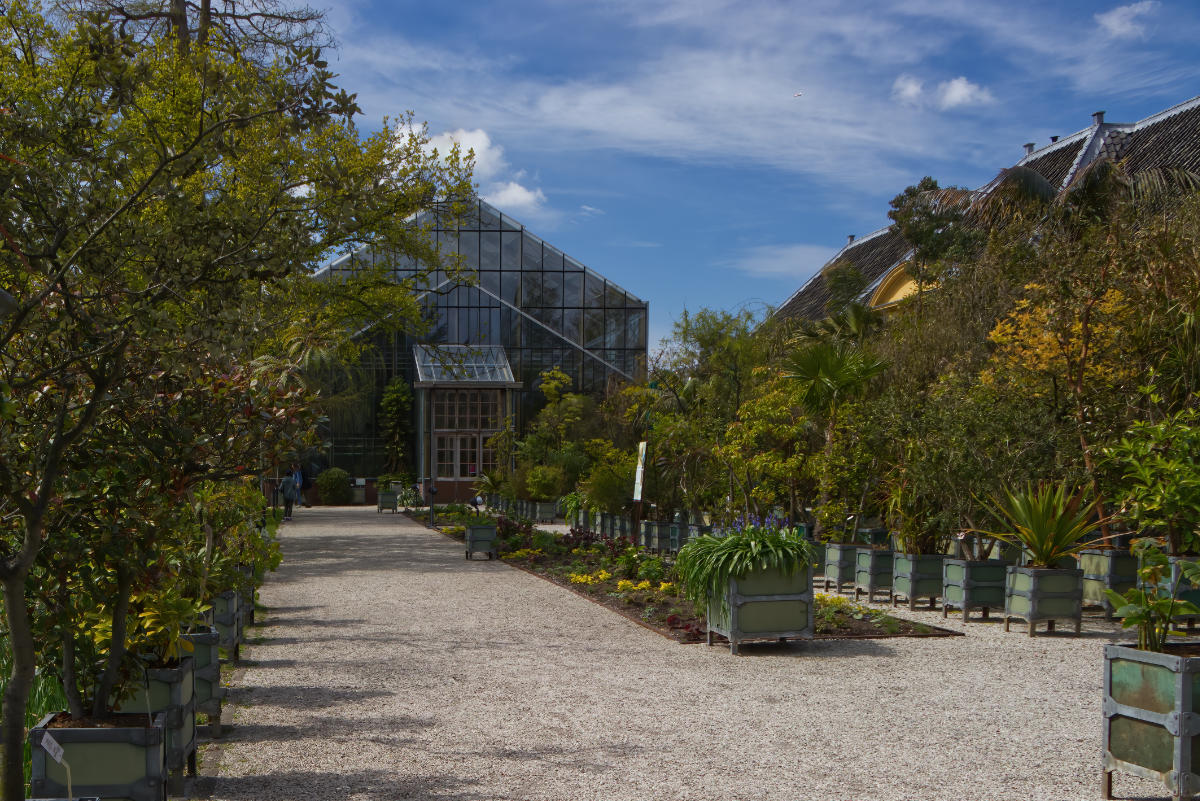 Leiden: Eine charmante Universitätsstadt mit historischem Flair ...