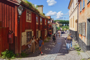 Skansen in Stockholm: Tiere, Traditionen und ein toller Ausblick