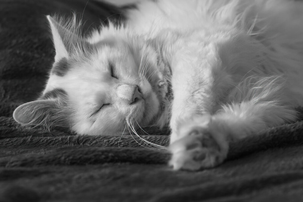 Mein Motto für 2026: Small Things. Big Magic.